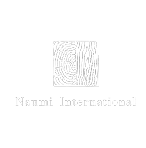 Naumi International – Create Your Website